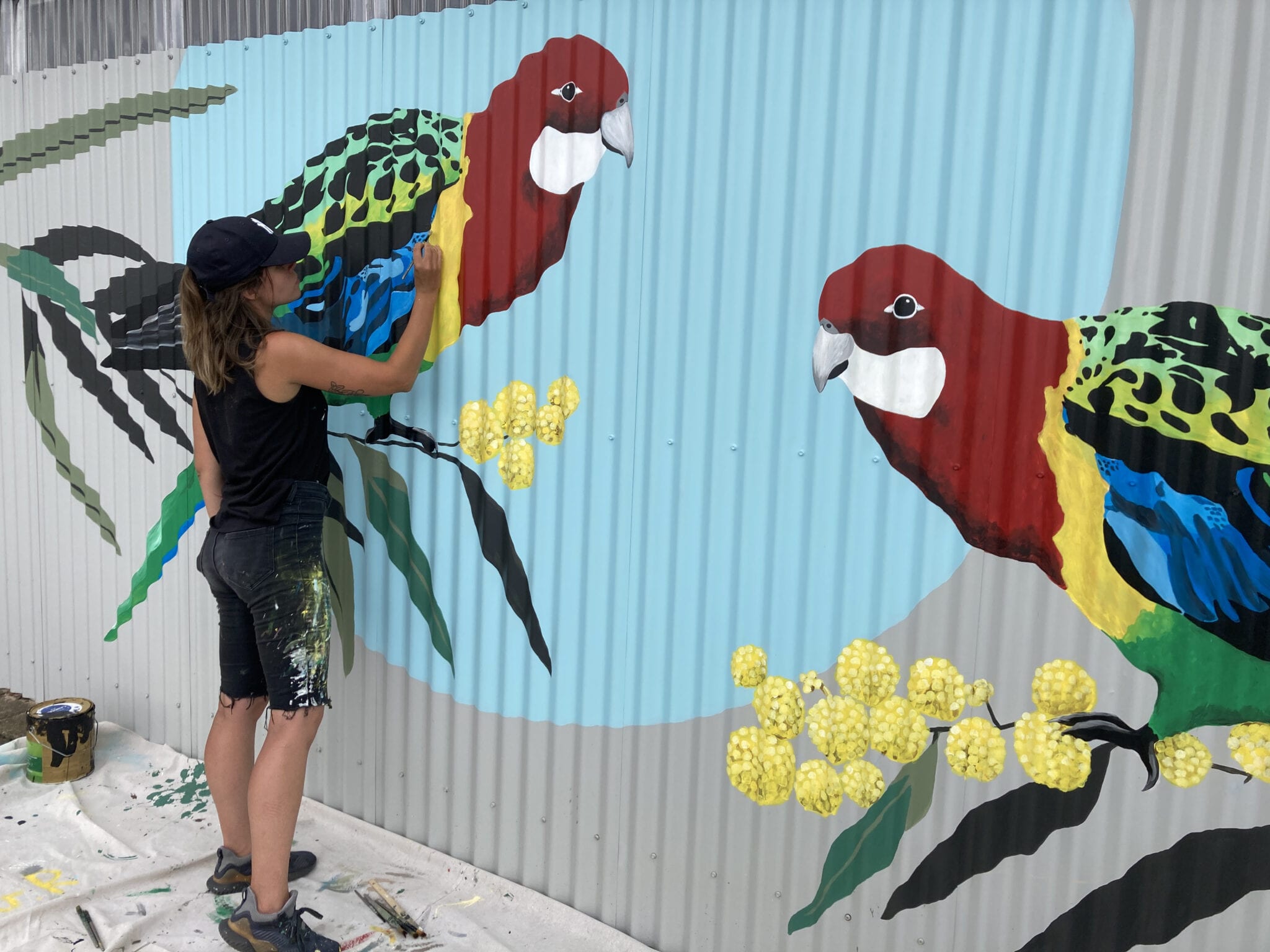 Design a Mural Competition - Mirboo North and District Community Foundation